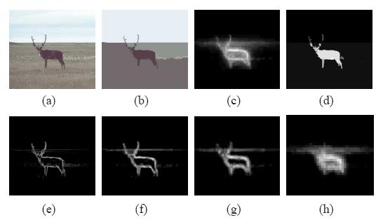 Region enhanced scale-invariant saliency detection
